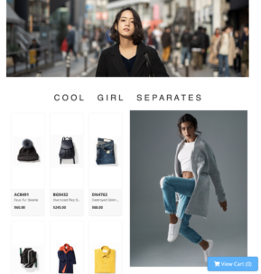 B2B Apparel eCommerce Software - ApparelMagic